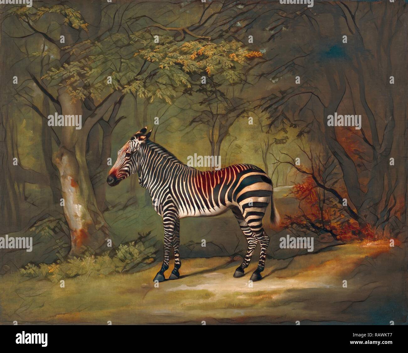 Zebra The First Zebra Seen in England Portrait of a Zebra, standing ...