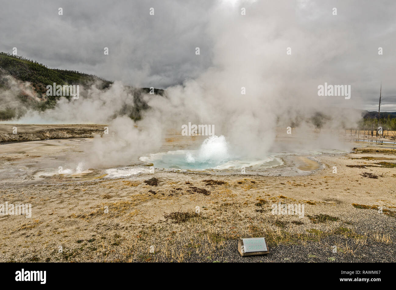 Small eruption of Spouter Geyser in Black Sand Basin in Yellowstone ...