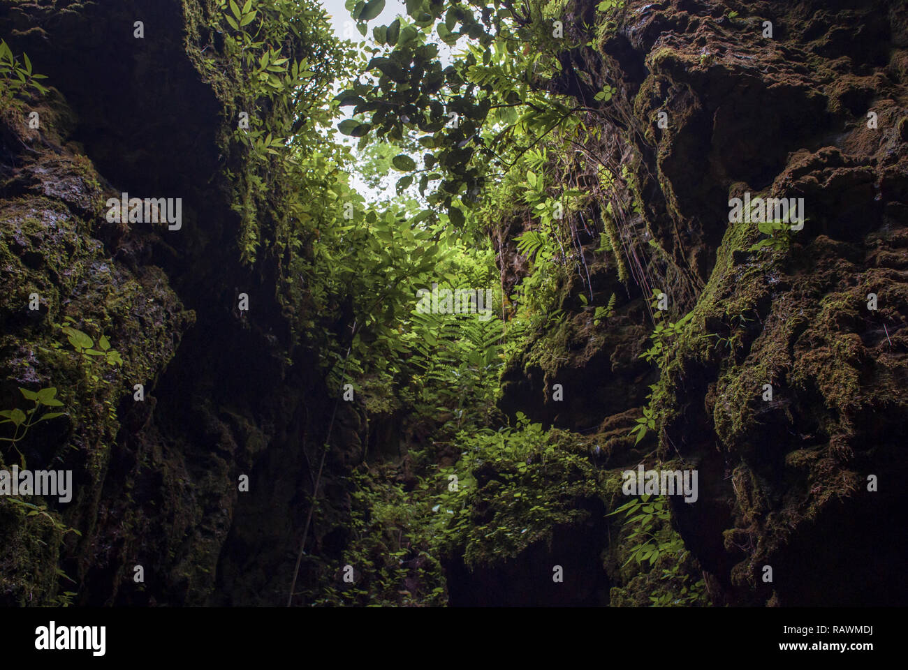The gap between natural stone walls seen from the mouth of the cave ...
