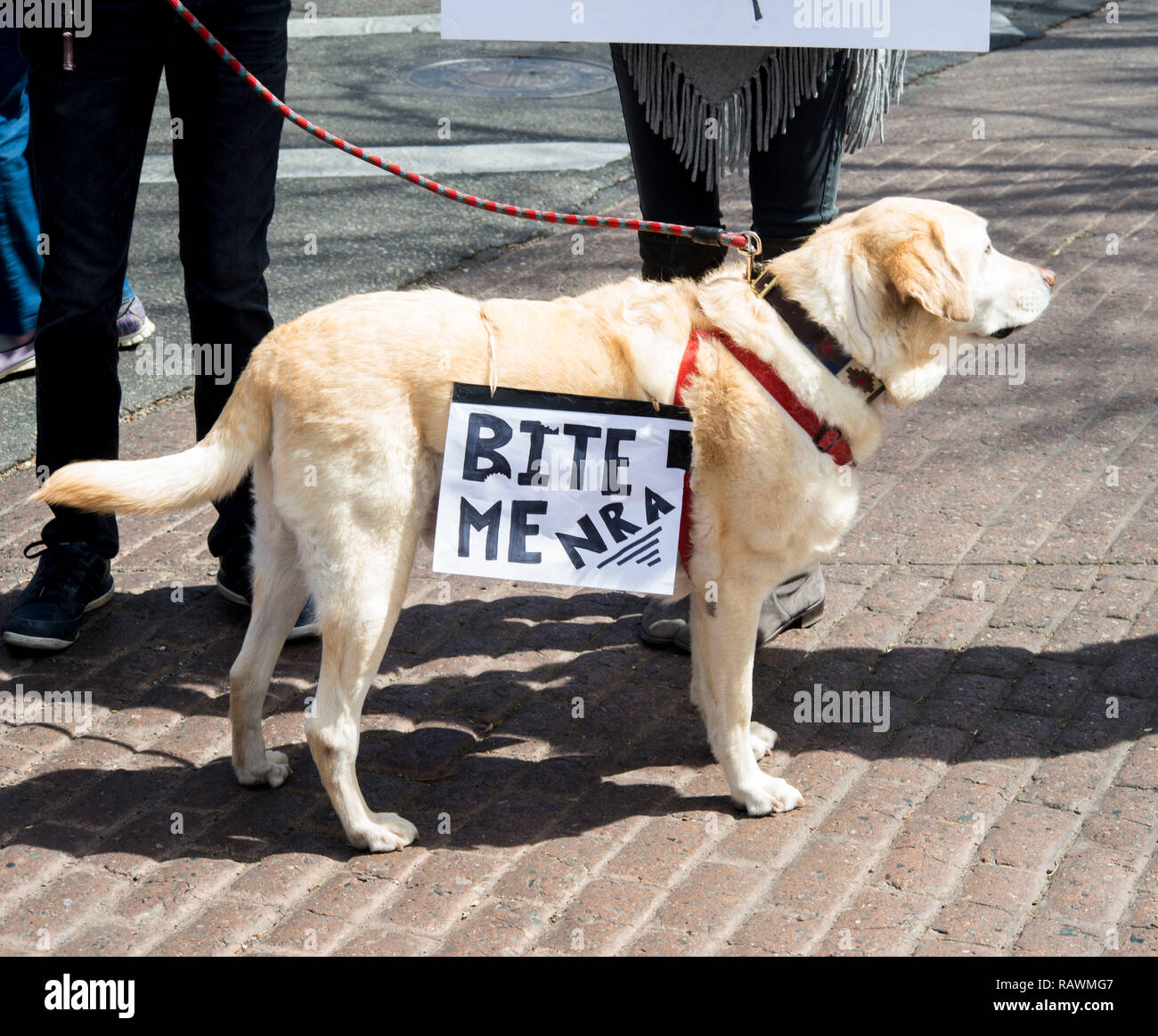 March for Our Lives Gun Violence Rally Stock Photo - Alamy
