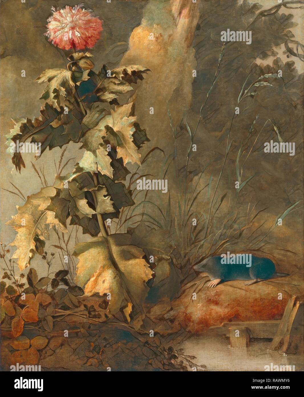 An Egyptian Poppy and a Water Mole A Thistle and Water Vole, Attributed ...