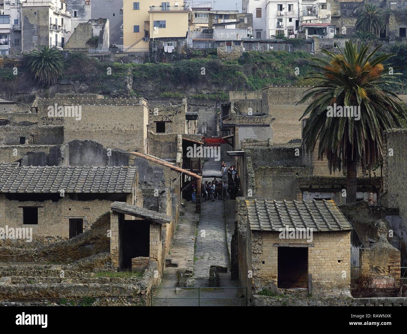 Cardo romano hi-res stock photography and images - Alamy