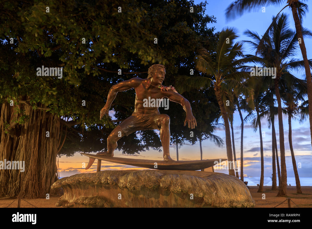 Hawaiian iconic tree hi-res stock photography and images - Alamy