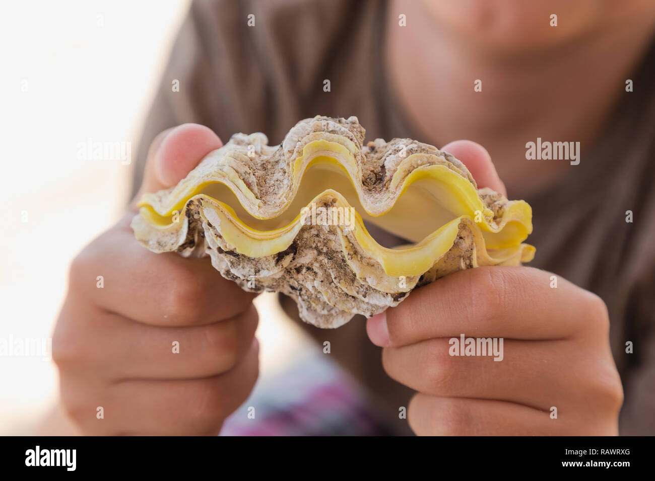 Girl with conch shell hi-res stock photography and images - Alamy