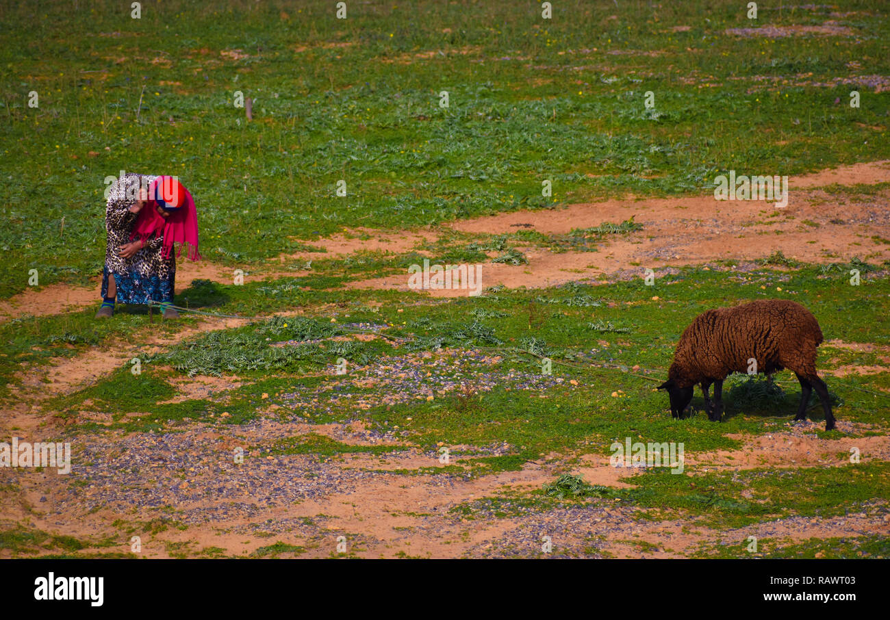 Rural vs wild hi-res stock photography and images - Alamy