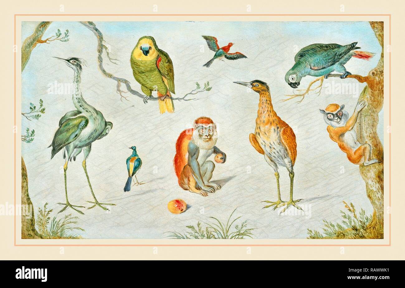 Circle of Jan van Kessel, Study of Birds and Monkeys, 1660-1670, oil on ...