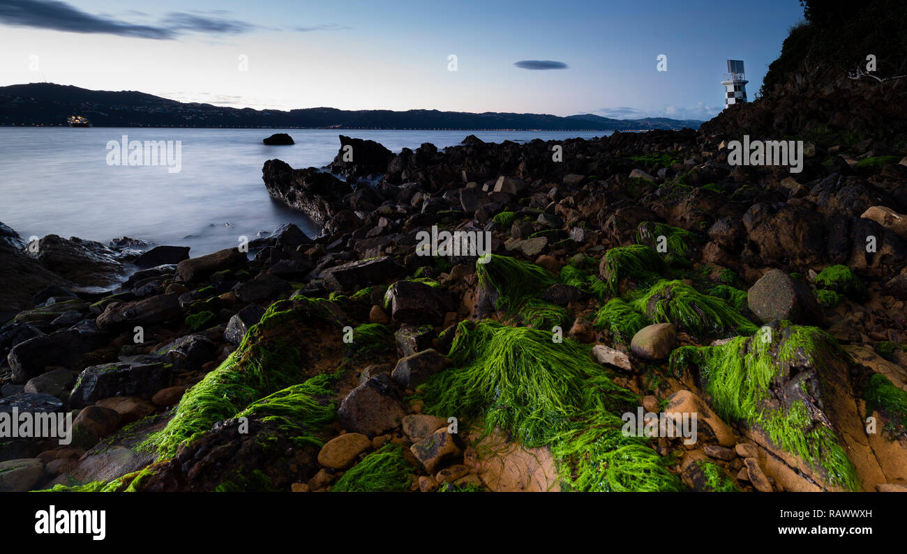 A view of Wellington harbour Stock Photo - Alamy