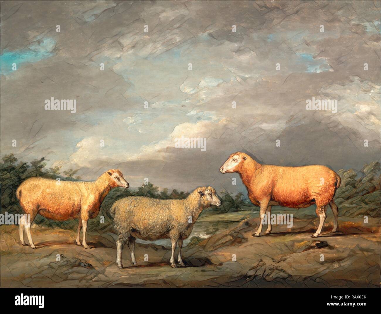 Lord somervilles wether hi-res stock photography and images - Alamy