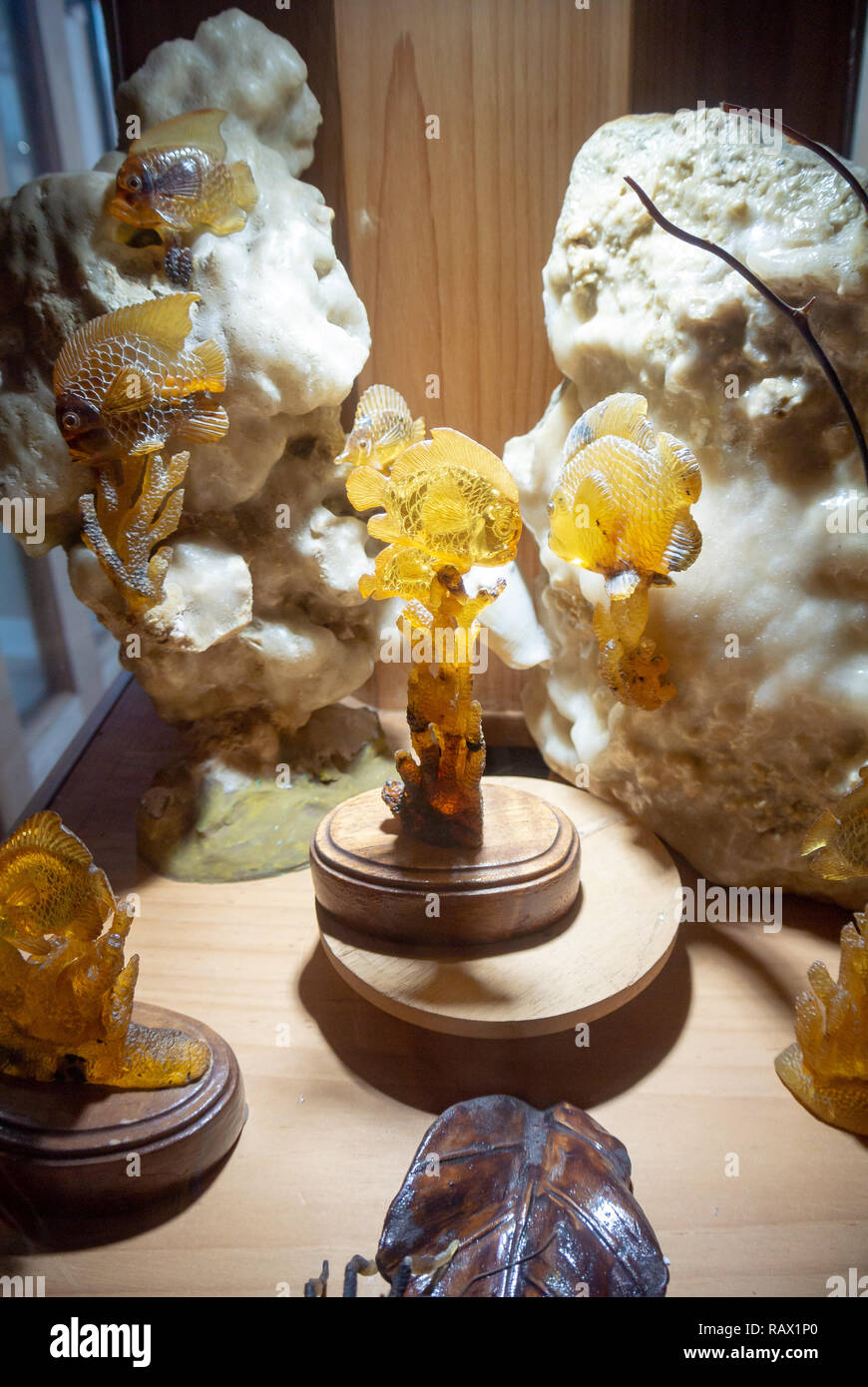 Statue of fish made of amber at Amber museum, San Cristobal de las ...