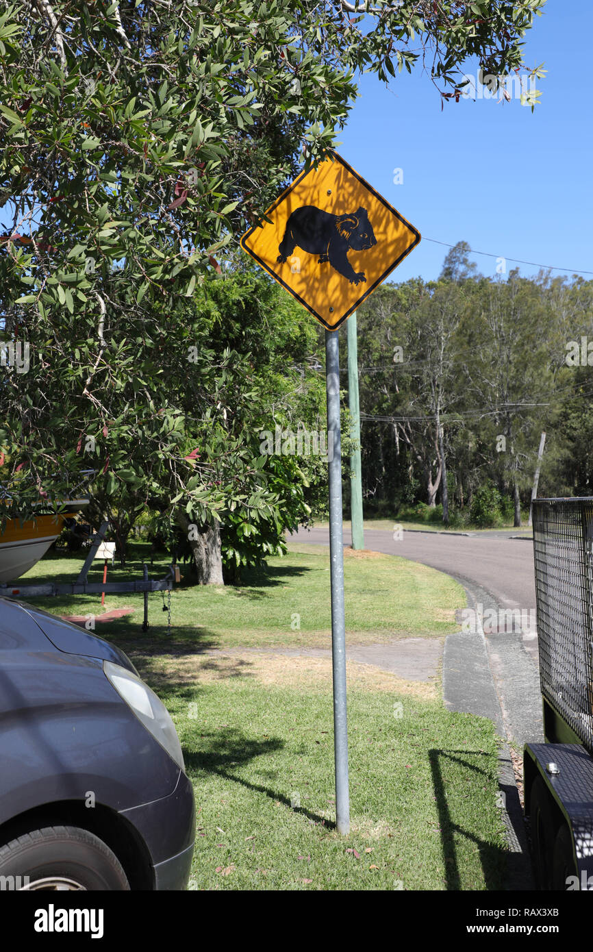 Koalas warning sign hi-res stock photography and images - Alamy