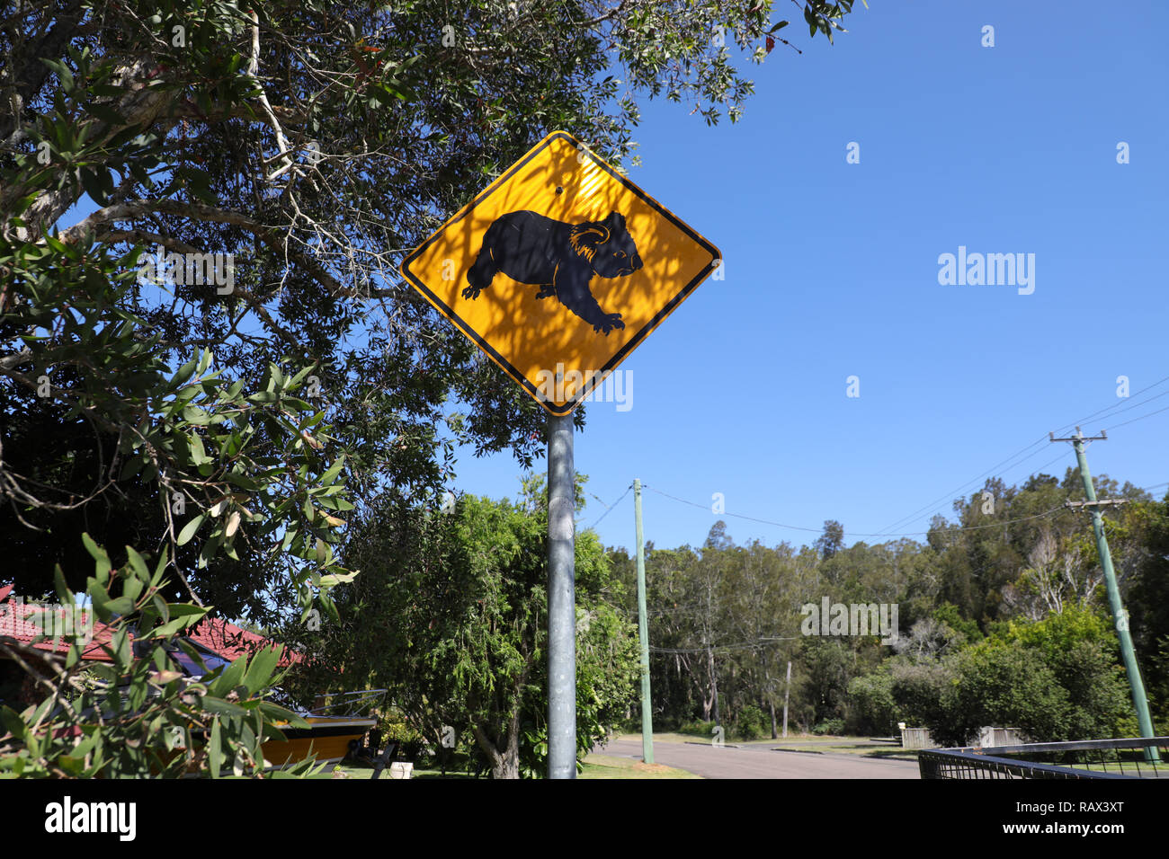 Koala warning sign in Hawks Nest, Port Stephens, Australia Stock Photo ...
