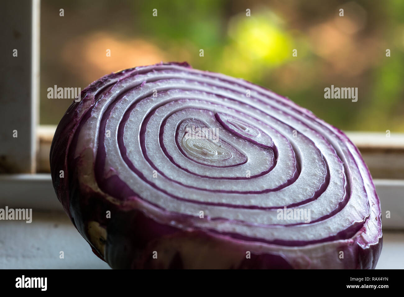 Layers of onion hi-res stock photography and images - Alamy