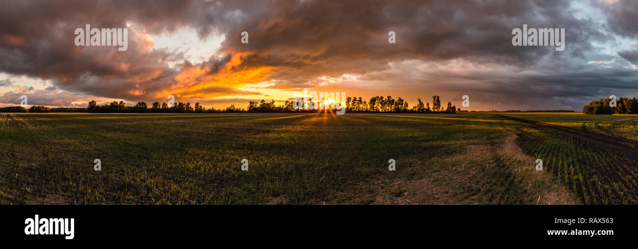 Beautiful sunset in the Russian countryside in Siberia, Altai Krai ...