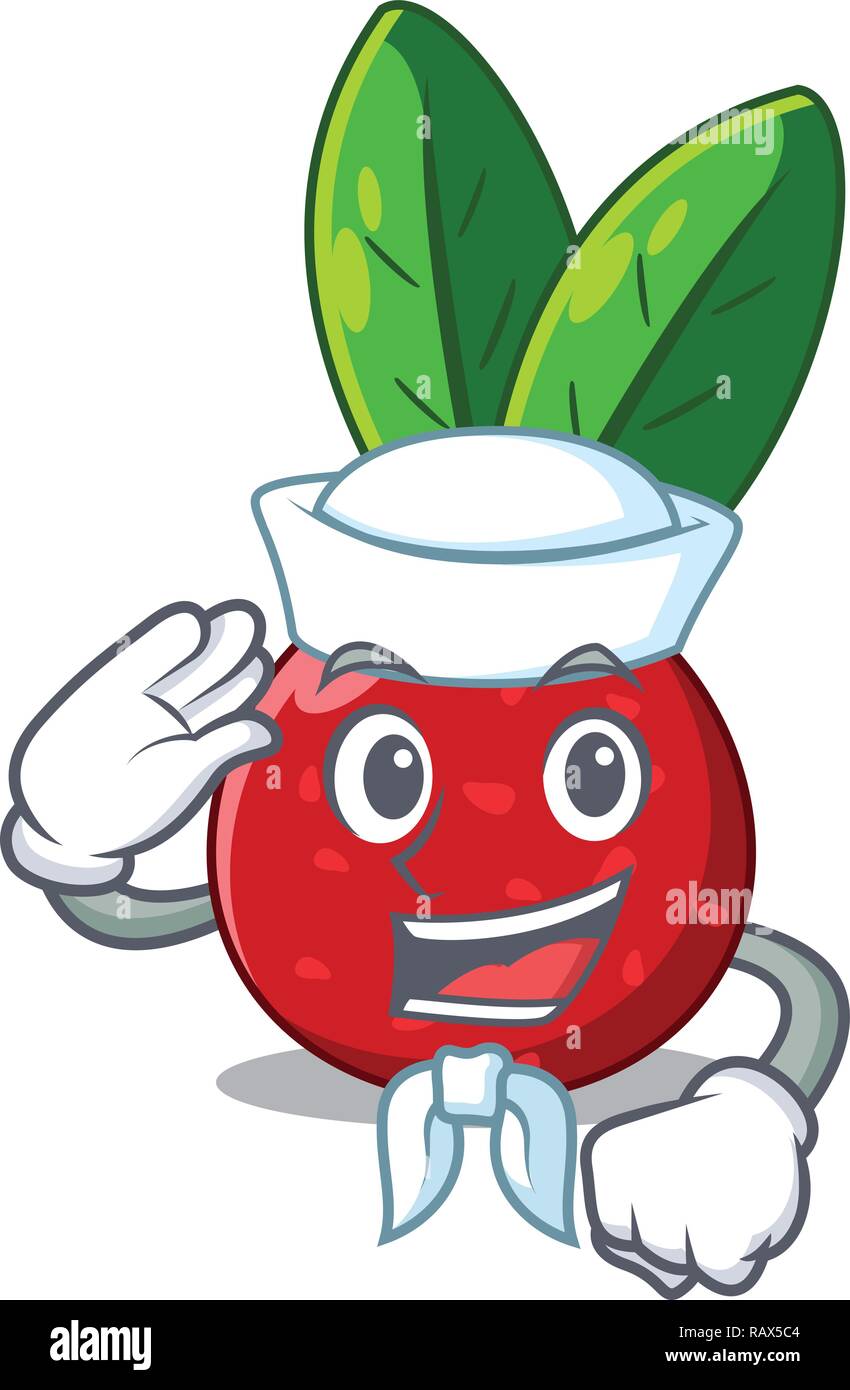 Sailor yangmei fruit in a cartoon basket Stock Vector Image & Art - Alamy