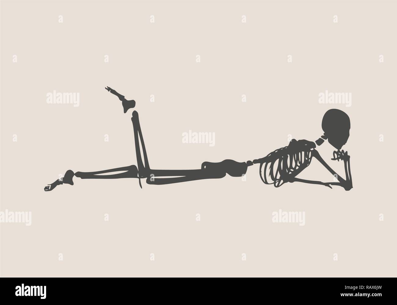 Skeleton backbone bones human skull Stock Vector Images - Alamy