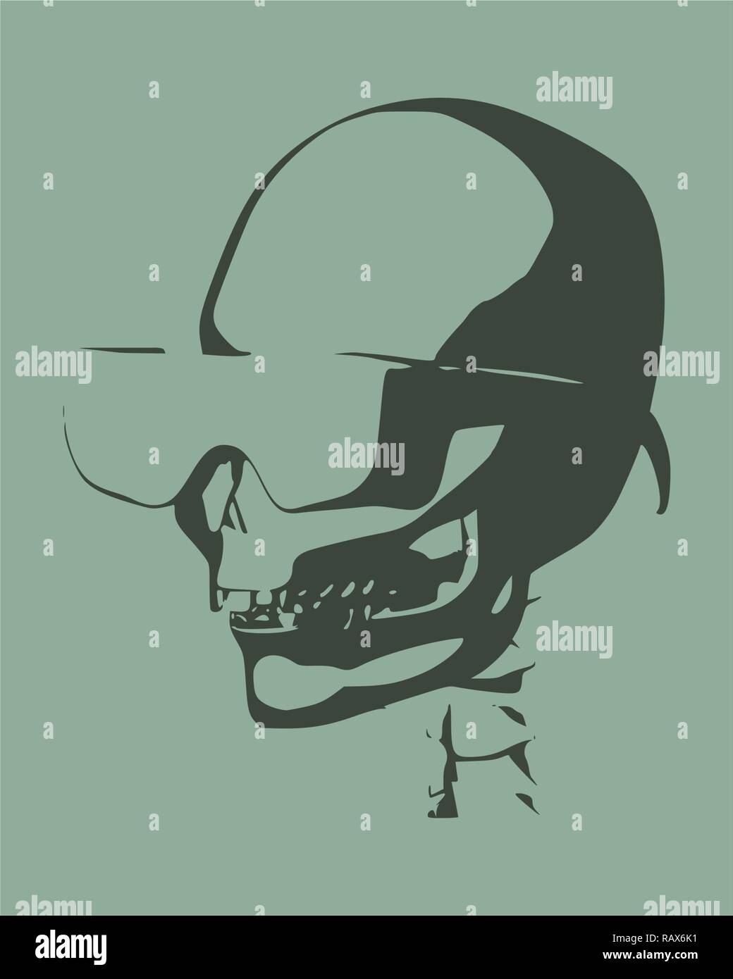 Anatomic illustration of skull Stock Vector Image & Art - Alamy