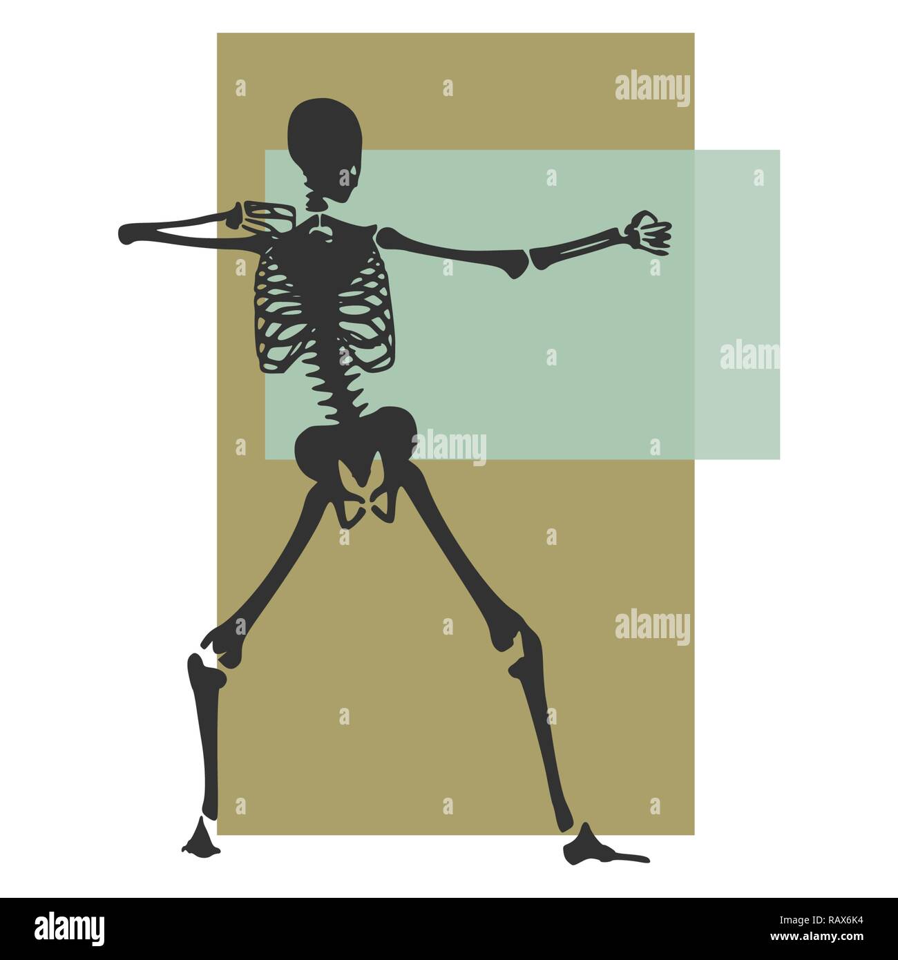 Halloween human skeleton Stock Vector Image & Art - Alamy