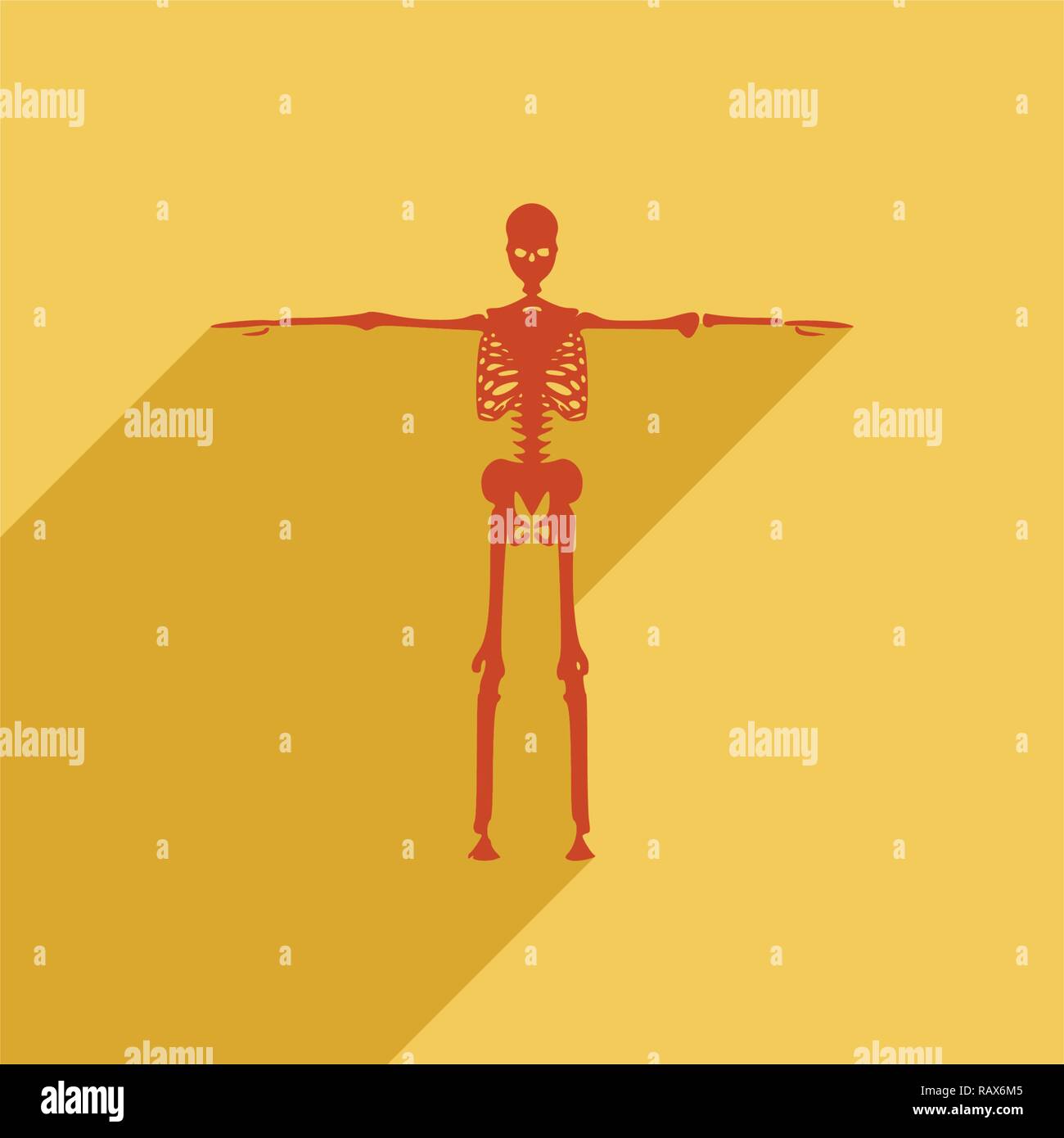 Halloween Human Skeleton Stock Vector Image And Art Alamy