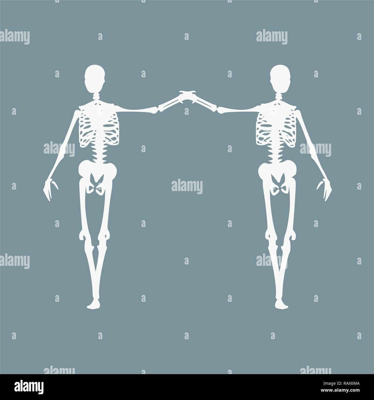 Halloween Human Skeleton Stock Vector Image And Art Alamy