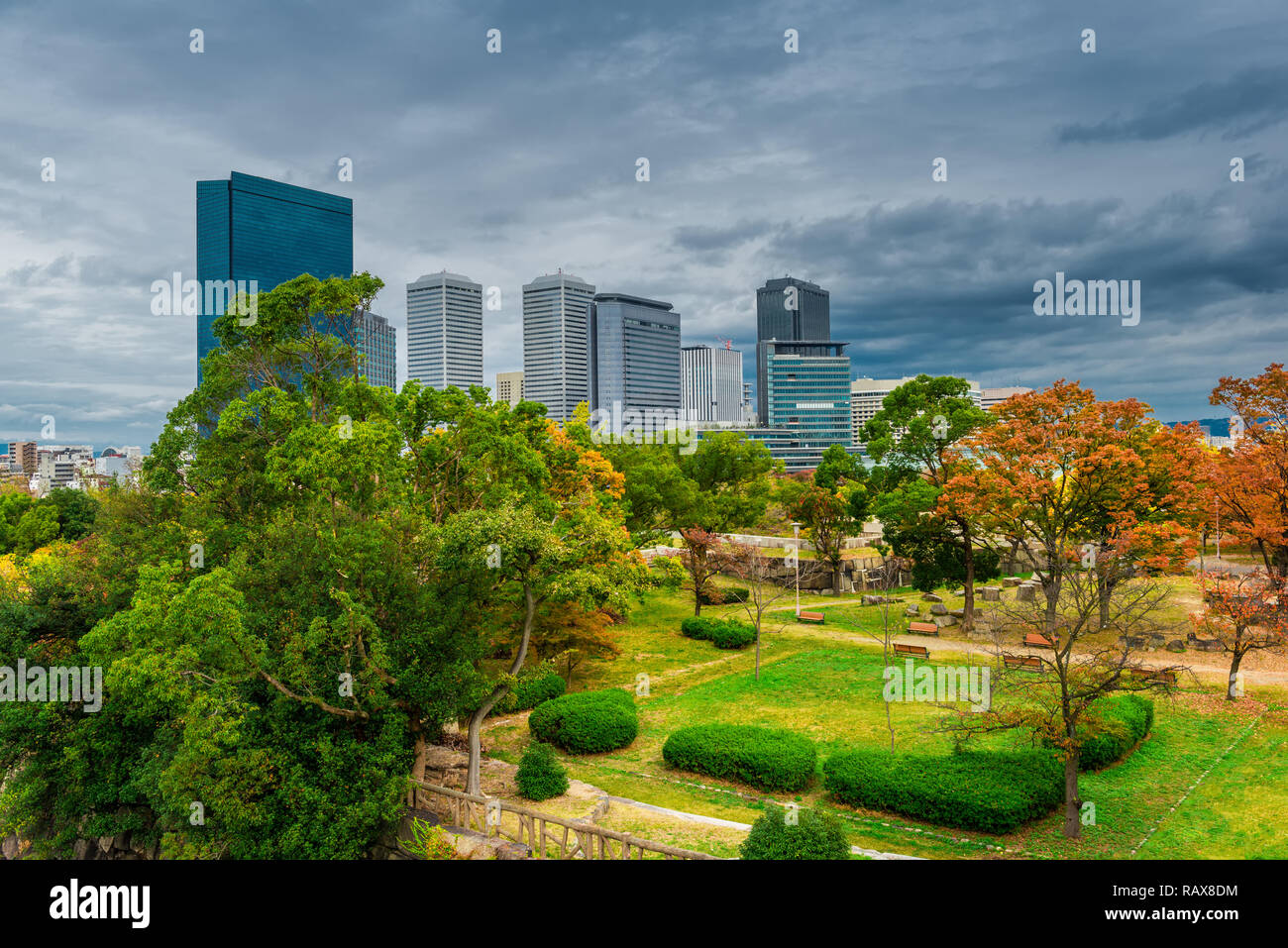 Modern Park Landscape