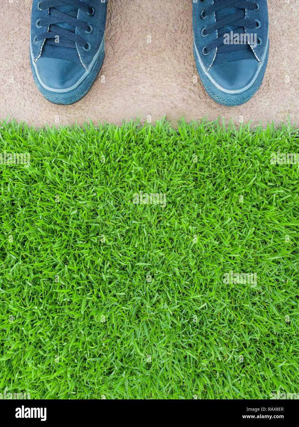 Deforestation vertical hi-res stock photography and images - Alamy