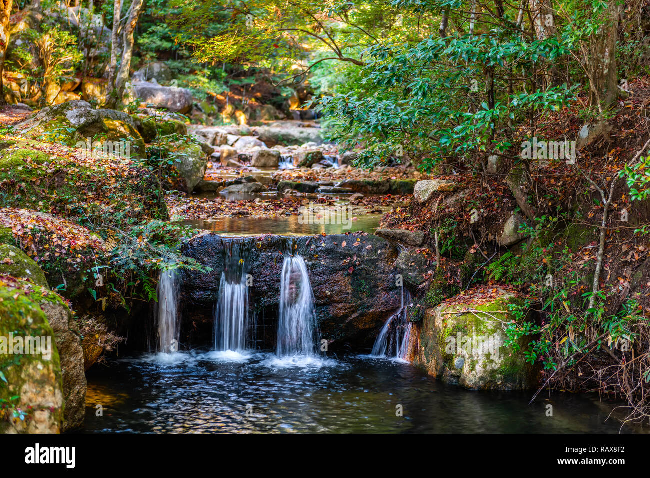 beautiful scene with waterfall and river in forest, Japan Stock Photo ...