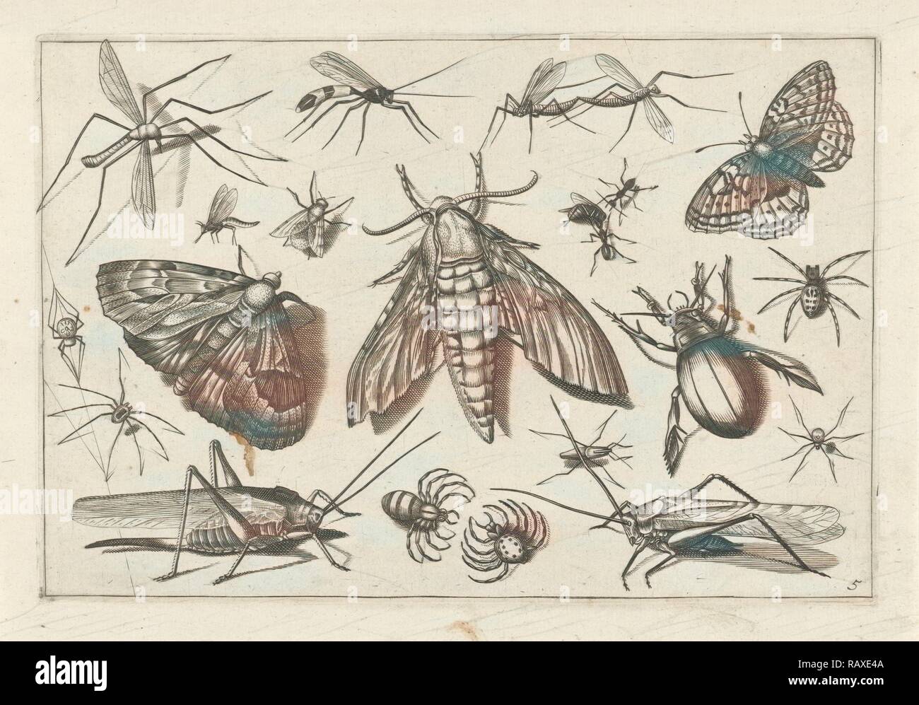 Insects, Jacob Hoefnagel, Joris Hoefnagel, Claes Jansz. Visscher (II ...