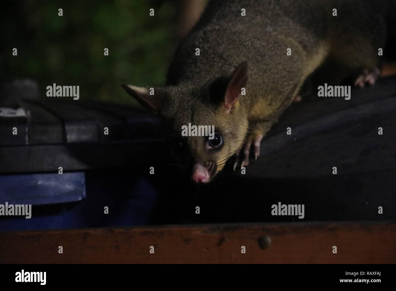 Through bins hi-res stock photography and images - Alamy