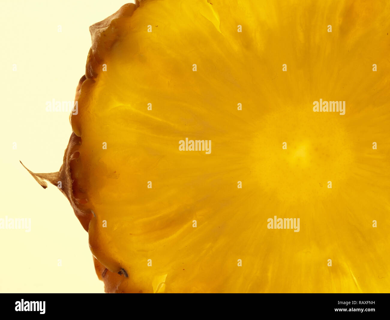 Circular under-lit pineapple segment fruit still-life photograph Stock ...