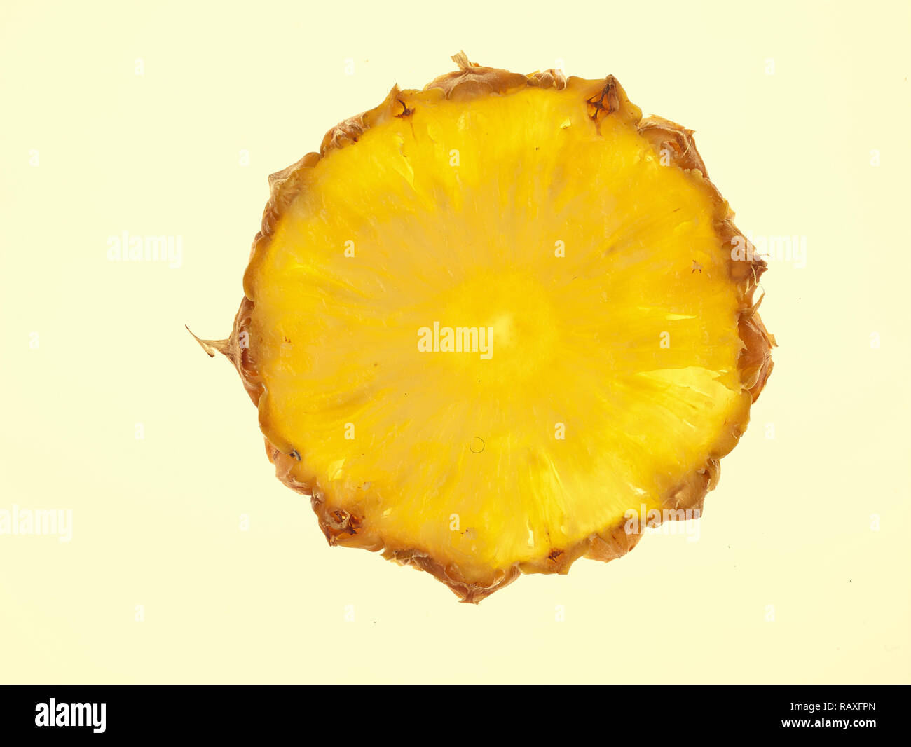 Circular under-lit pineapple segment fruit still-life photograph Stock ...