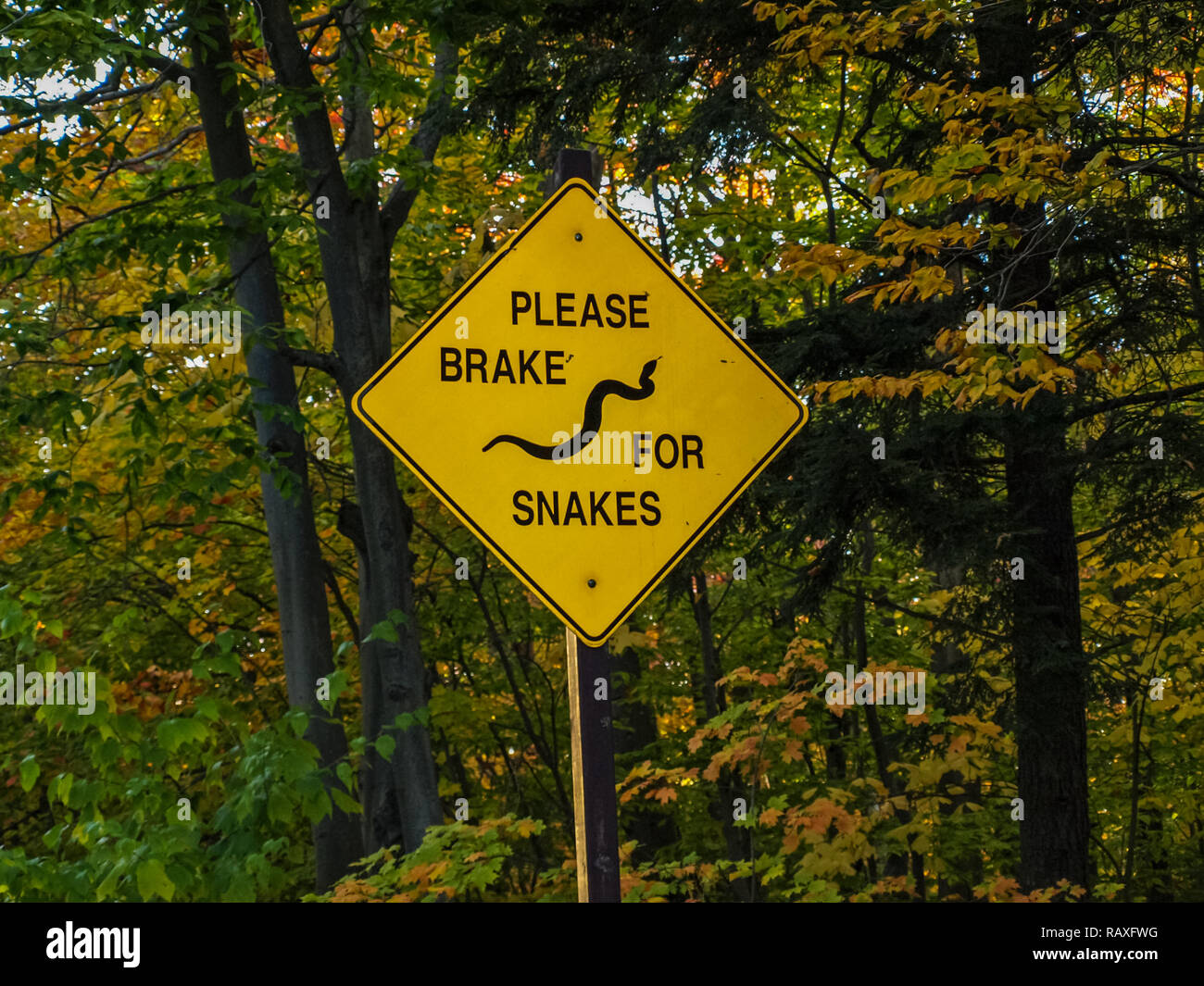 Snake warning sign australia hi-res stock photography and images - Alamy