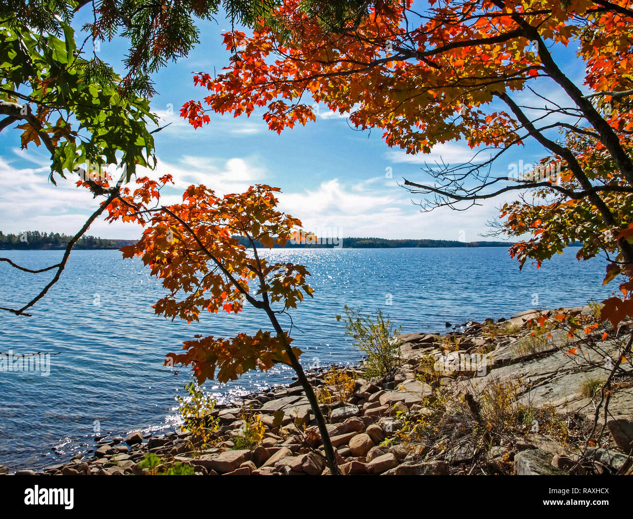 Autumn on the shore of Lake Huron, a beautiful autumn landscape Stock ...