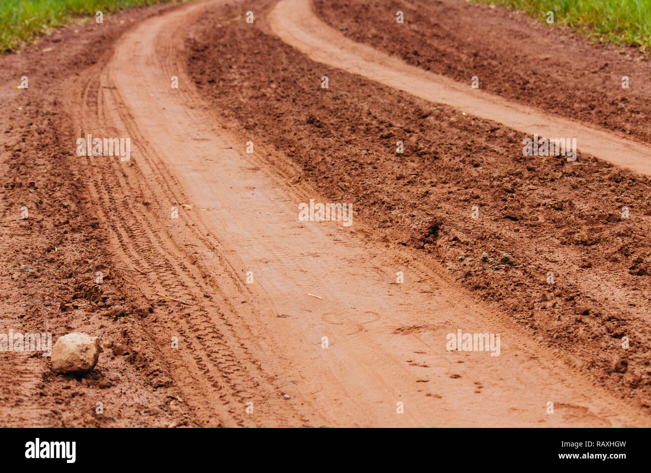 Dirt road track with bare earth red surface with visible vehicle tire ...