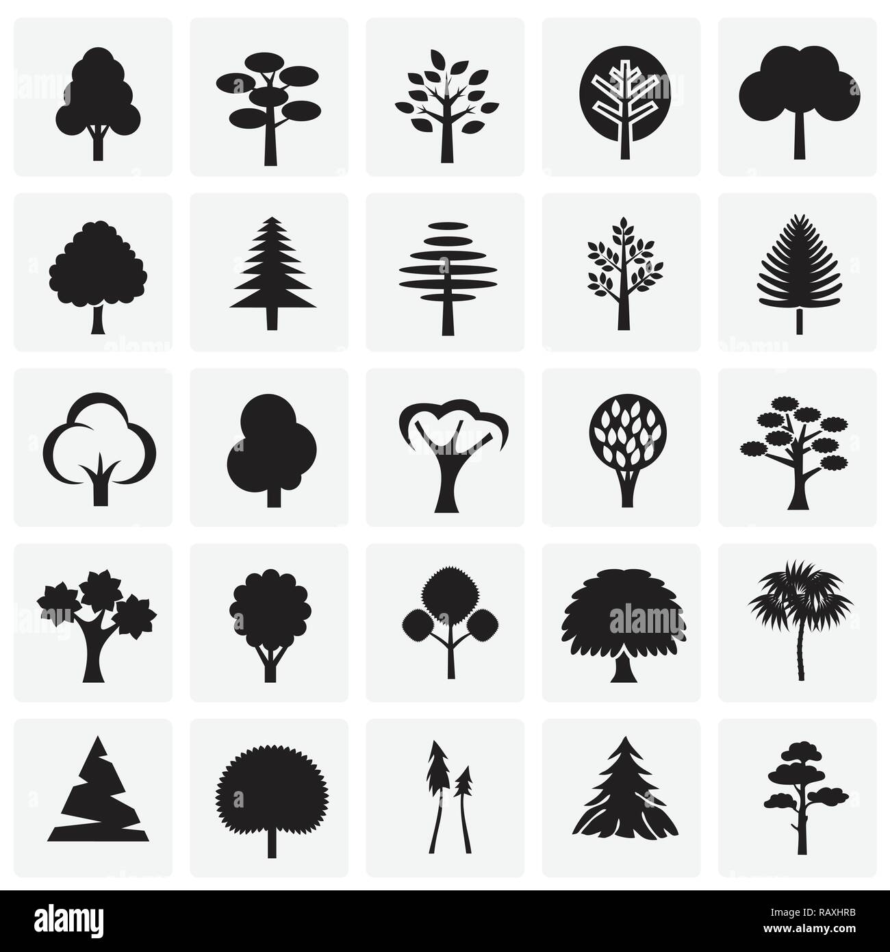 Bonsai hornbeam Stock Vector Images - Alamy