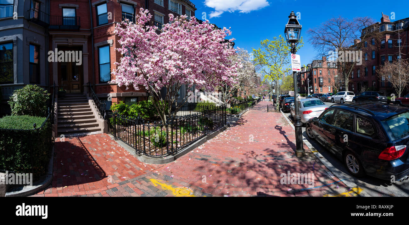 Boston neighborhood in spring Stock Photo - Alamy