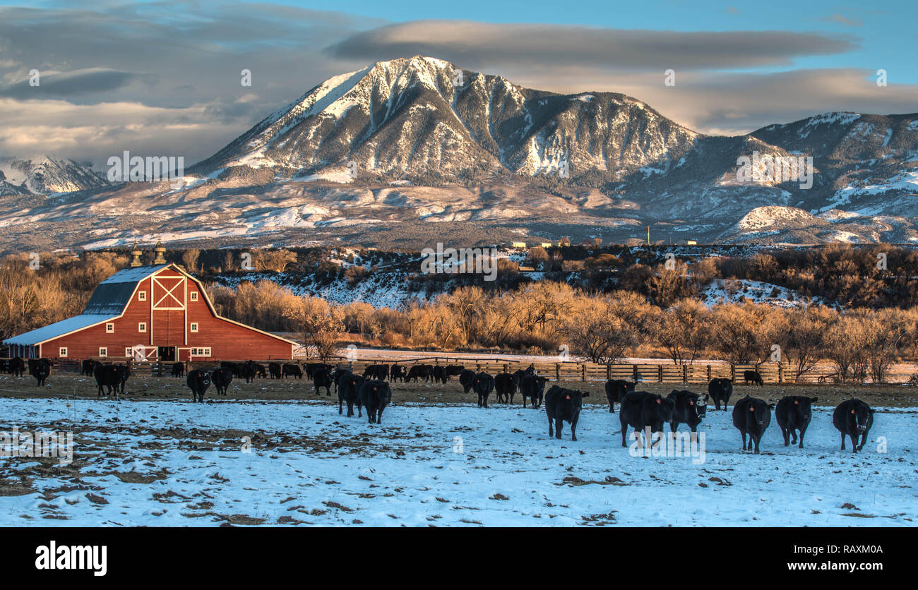 Colorado cowboy mountain hi-res stock photography and images - Alamy