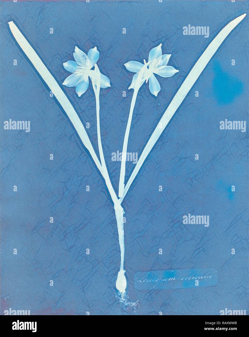 Anne atkins hi-res stock photography and images - Alamy