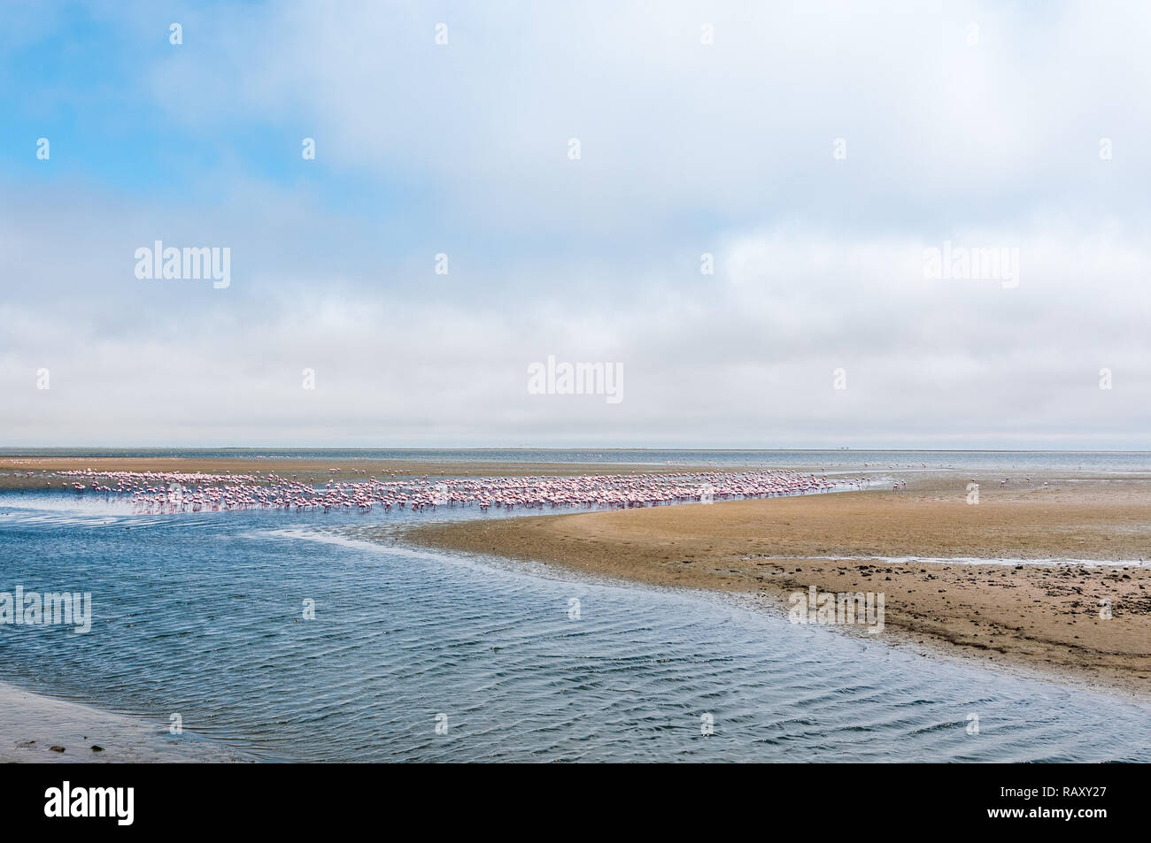 Walvis bay hi-res stock photography and images - Alamy