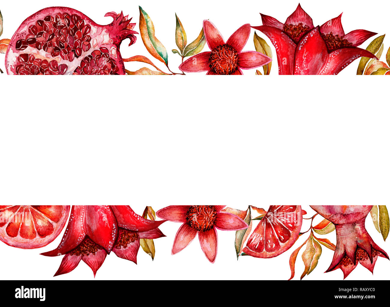Cute colorful floral pomegranate frame, border on white background for ...