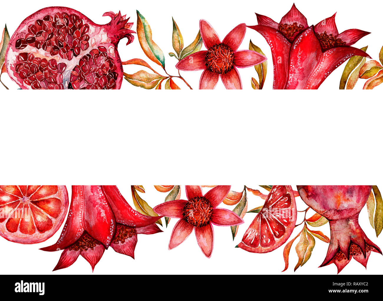 Cute colorful floral pomegranate frame, border on white background for ...