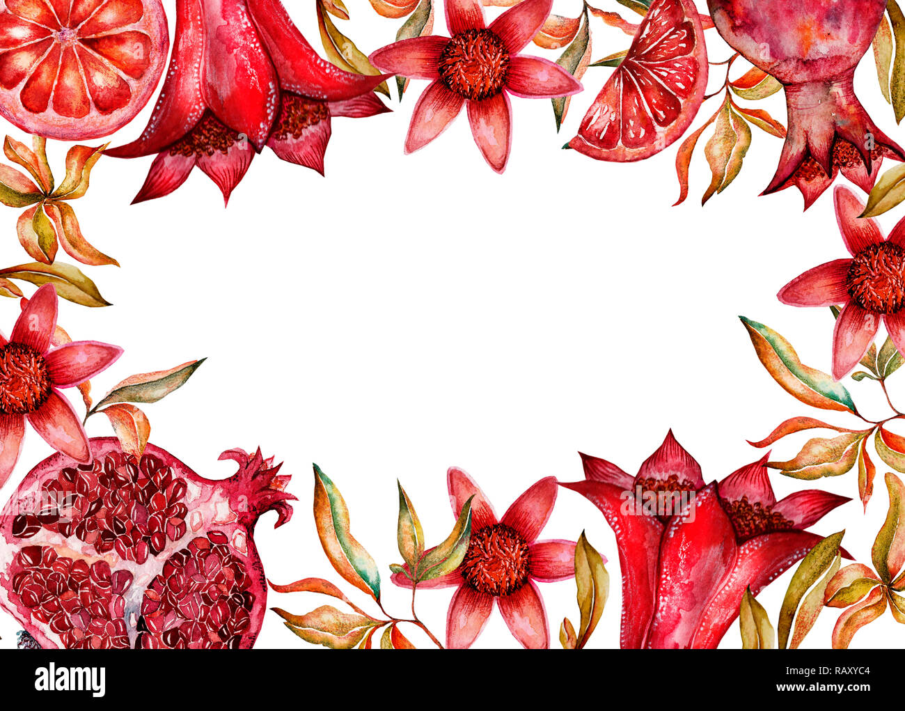 Cute colorful floral pomegranate frame, border on white background for ...