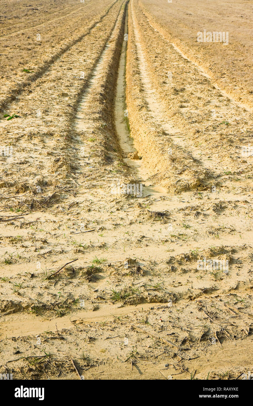 Ditch of rainwater collection in a plowed field Stock Photo - Alamy