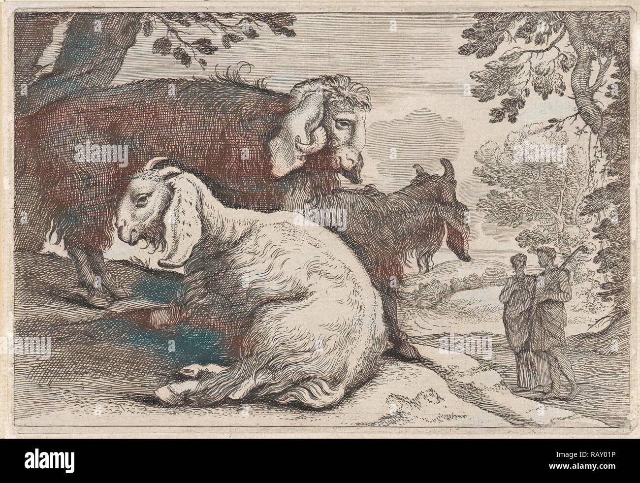 Angora sheep, Anonymous, Herman van Swanevelt, 1636-1705. Reimagined by ...