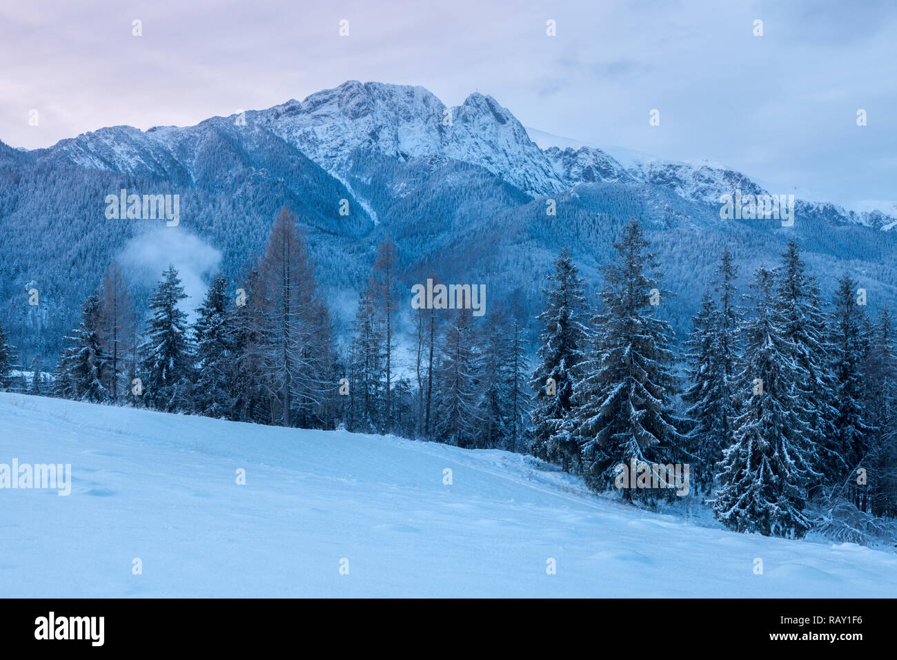 Winter panorama of Zakopane with Giewont. Zakopane, Lesser Poland ...
