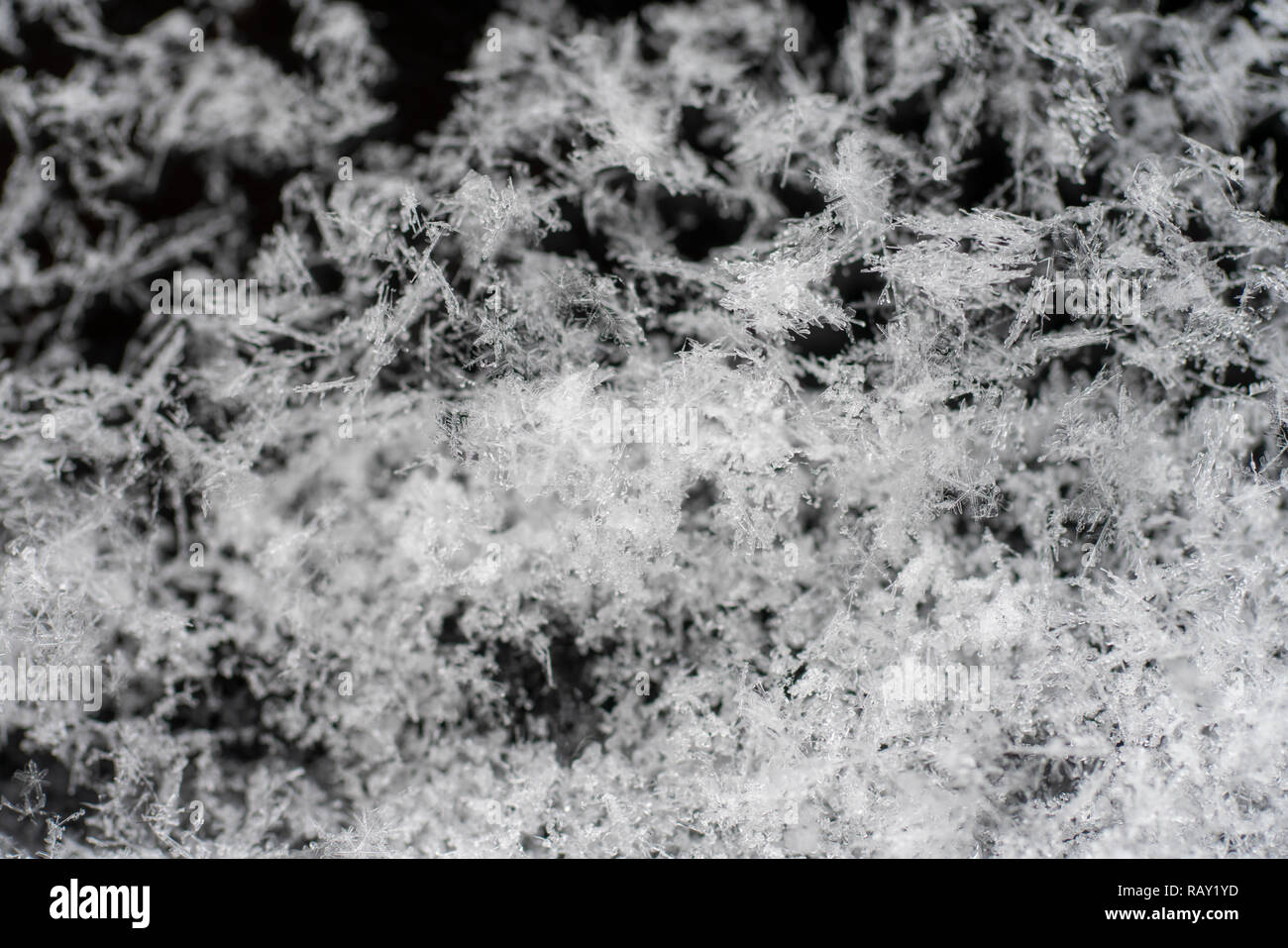 Still life snow flake crystals hi-res stock photography and images - Alamy