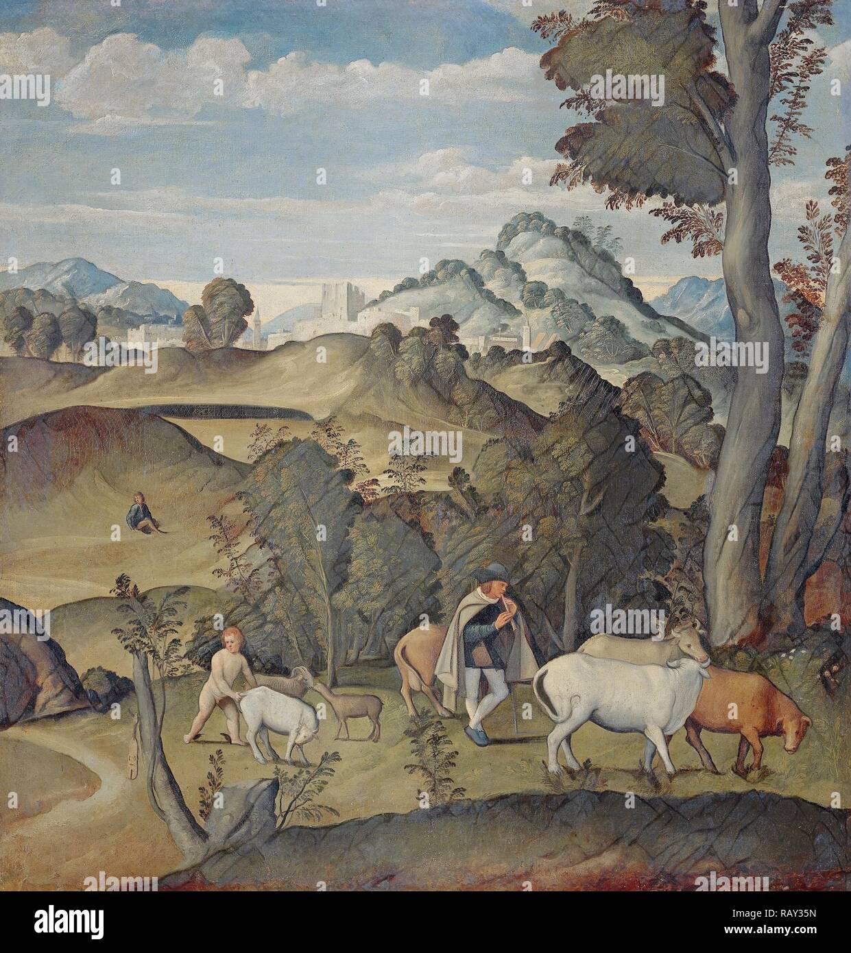 Apollos cattle hi-res stock photography and images - Alamy