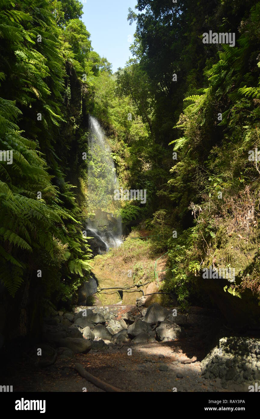 Wonderful Waterfall In The Forest Of Los Tilos On The Island Of La ...