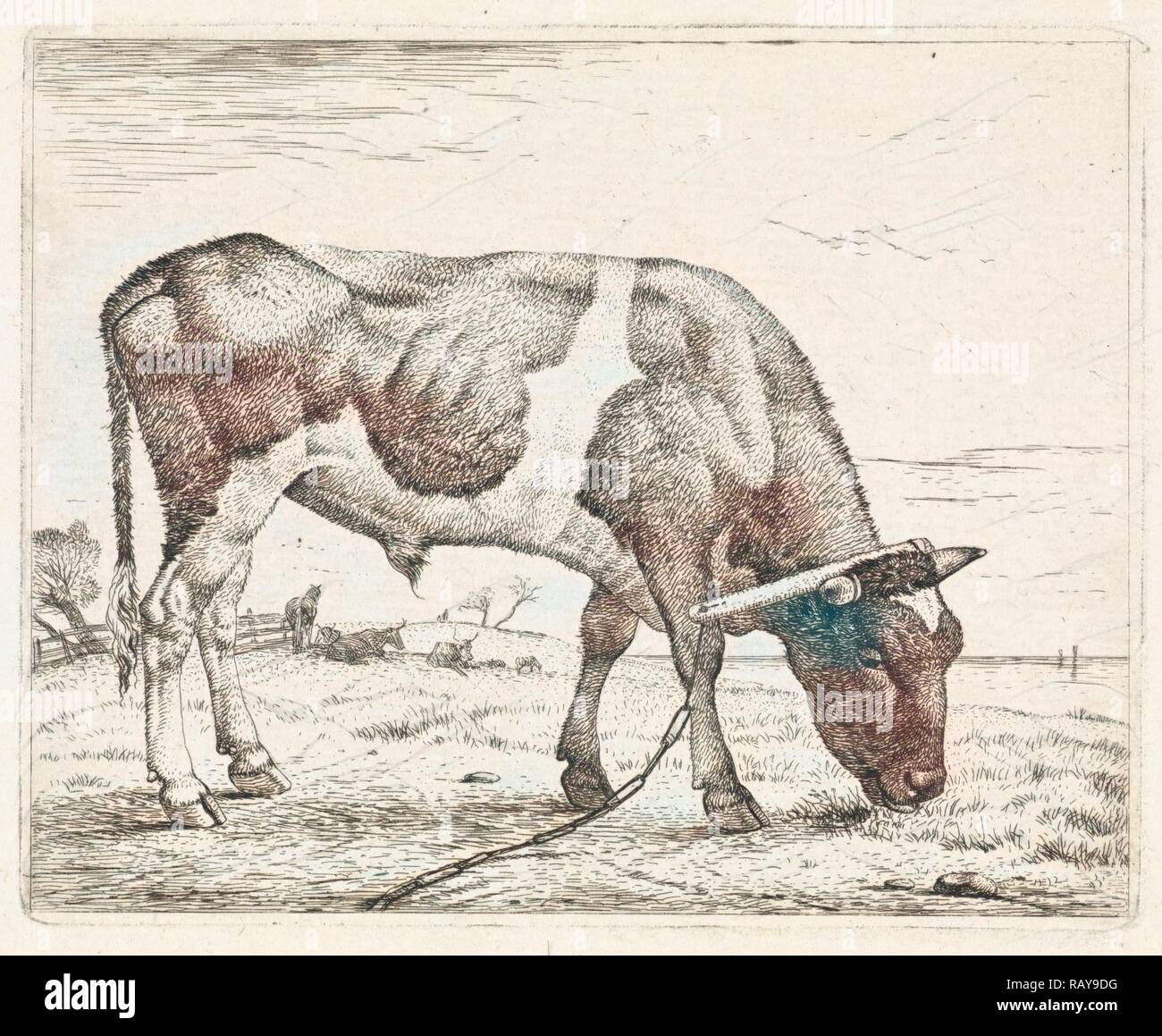 Grazing ox, Wouter Johannes van Troostwijk, 1792-1810. Reimagined by ...