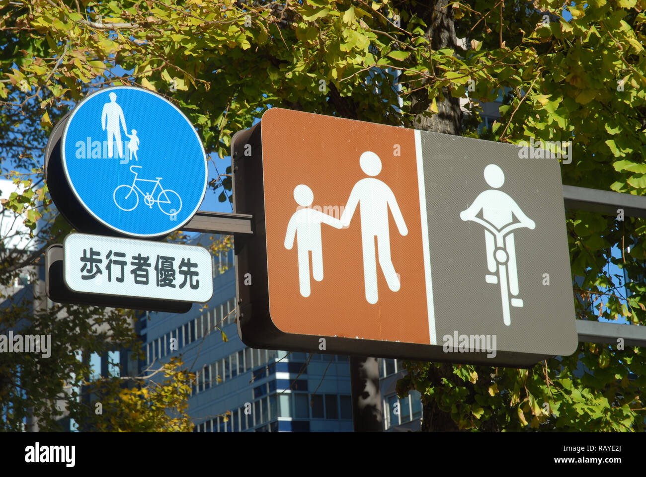 Pedestrian and Cycle Lane Signs, Tokyo, Japan Stock Photo - Alamy