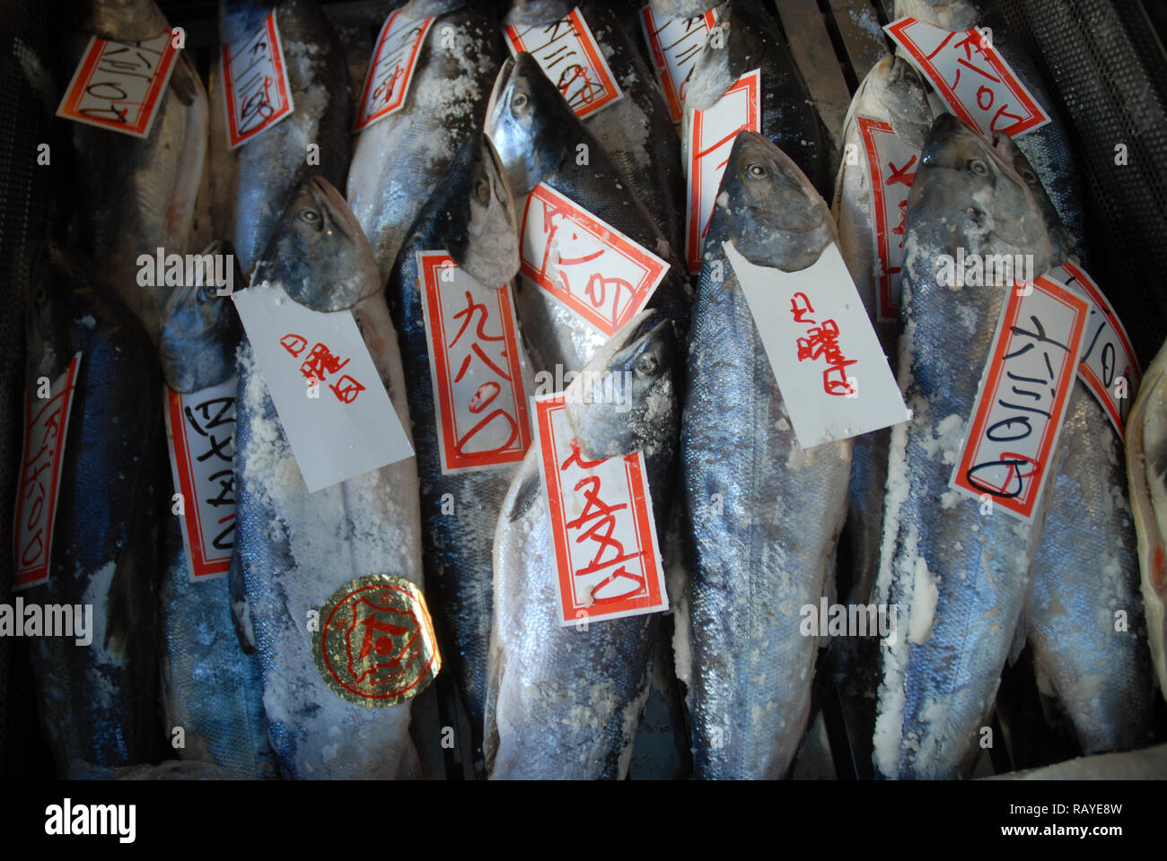 Fish for sale at Tsukiji Fish Market, Tokyo, Japan Stock Photo - Alamy